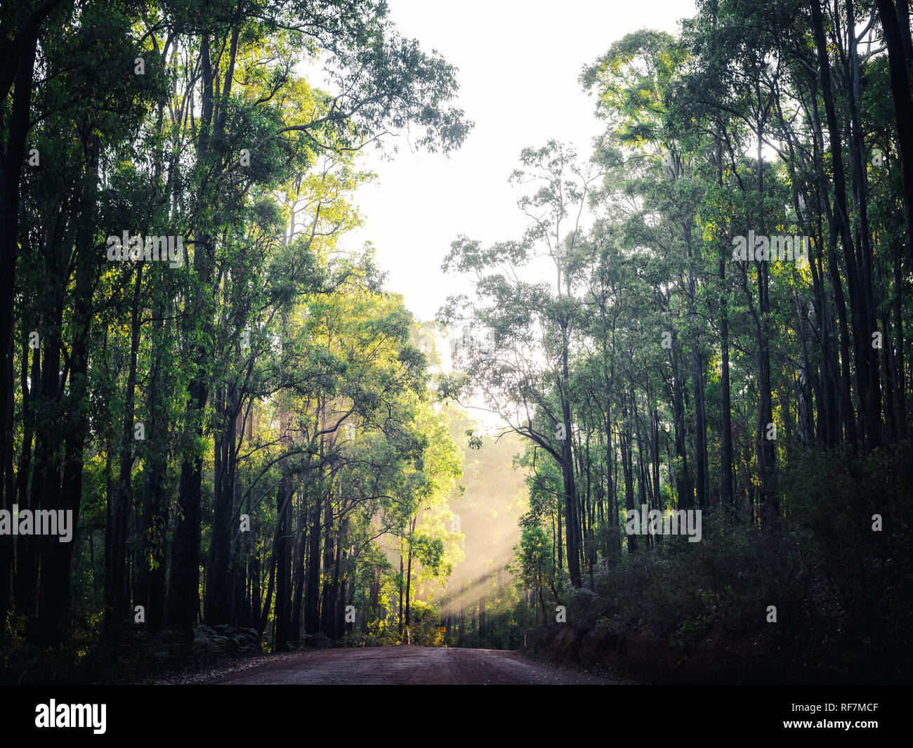 Dwellingup hi-res stock photography and images - Alamy