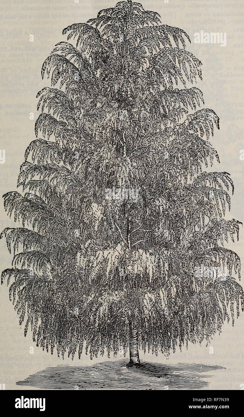 J W W Birch High Resolution Stock Photography and Images - Alamy