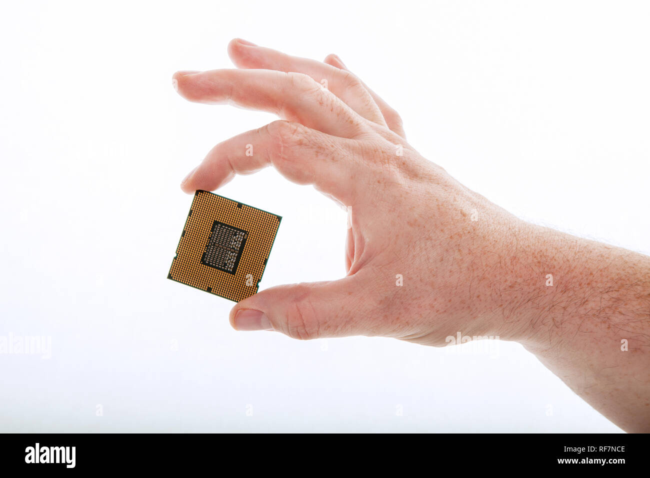 A hand with the CPU, isolated photo Stock Photo - Alamy