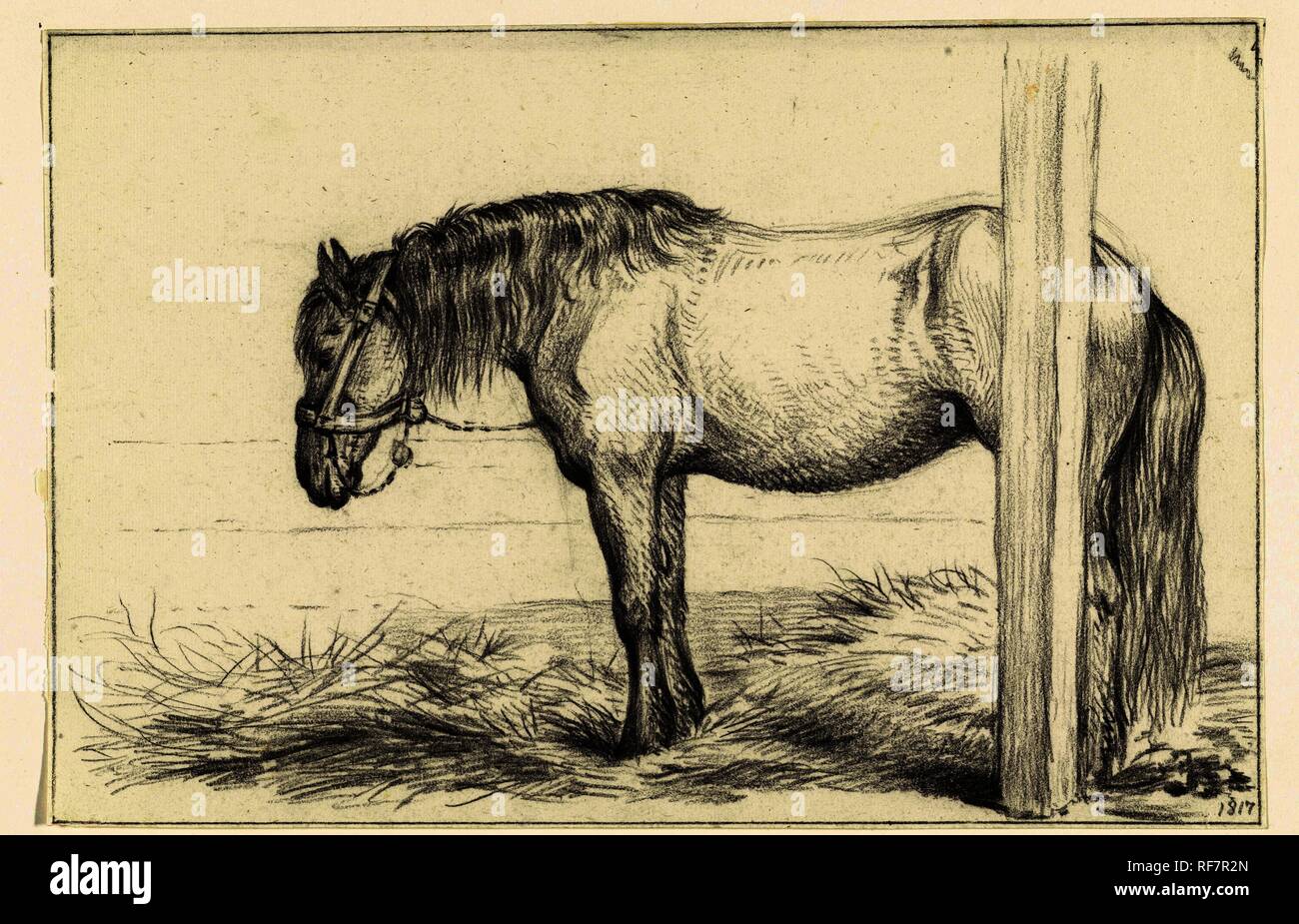 Horse stable drawing hi-res stock photography and images - Alamy