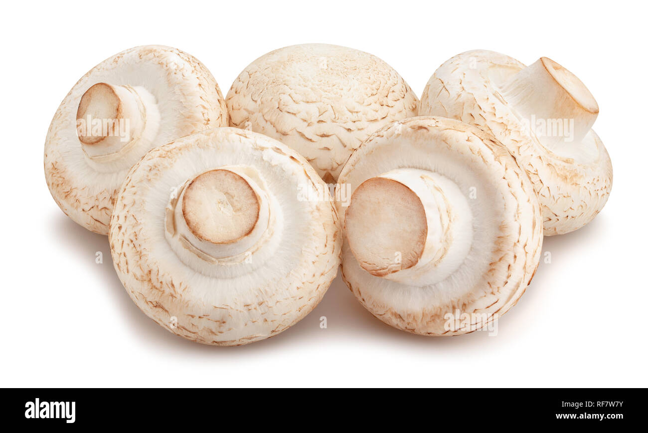 mushrooms path isolated Stock Photo - Alamy