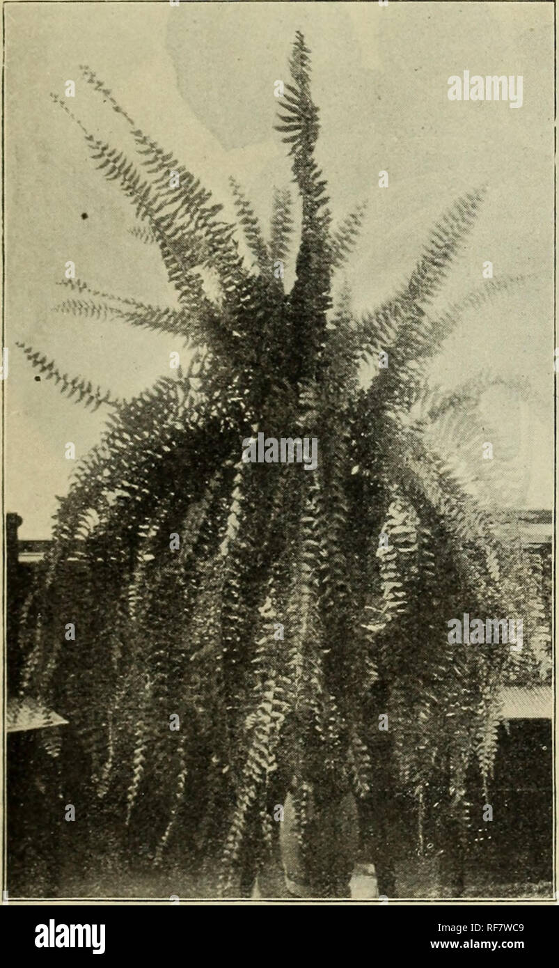 Undulating outline hi-res stock photography and images - Alamy
