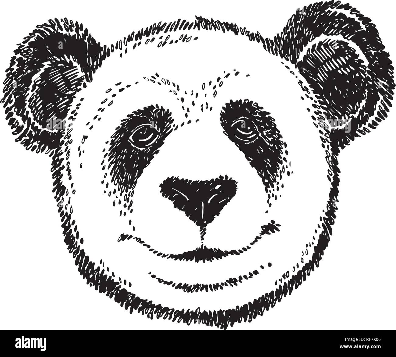 Hand drawn portrait of panda. Vector illustration isolated on white ...