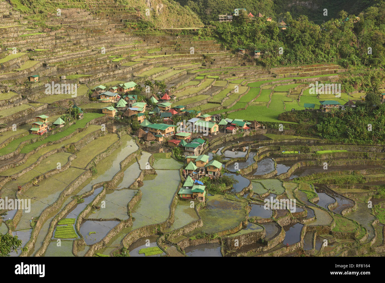 Agricultural rice terraces philippines hi-res stock photography and ...