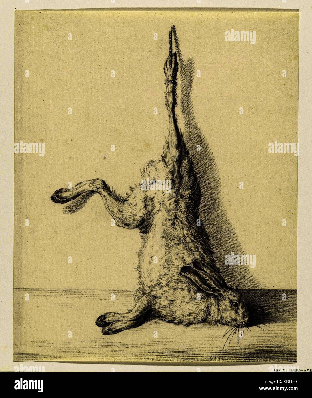Hare hanging hi-res stock photography and images - Alamy