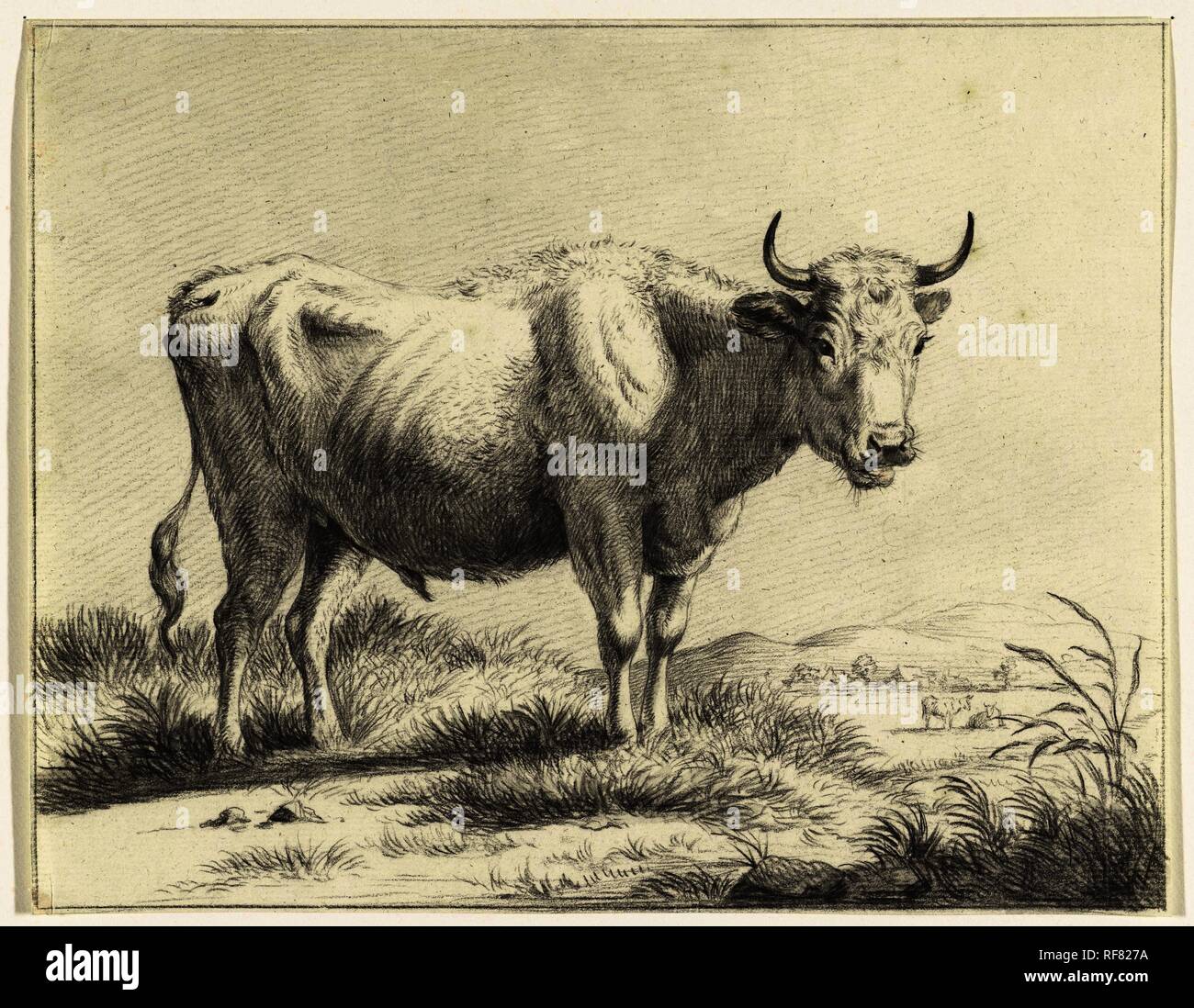 H 240 mm w 305 mm hi-res stock photography and images - Alamy