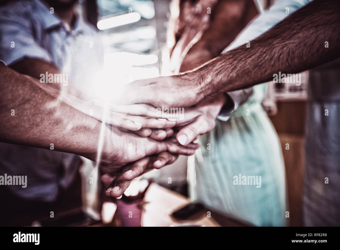 Close up woman putting hands hi-res stock photography and images - Alamy