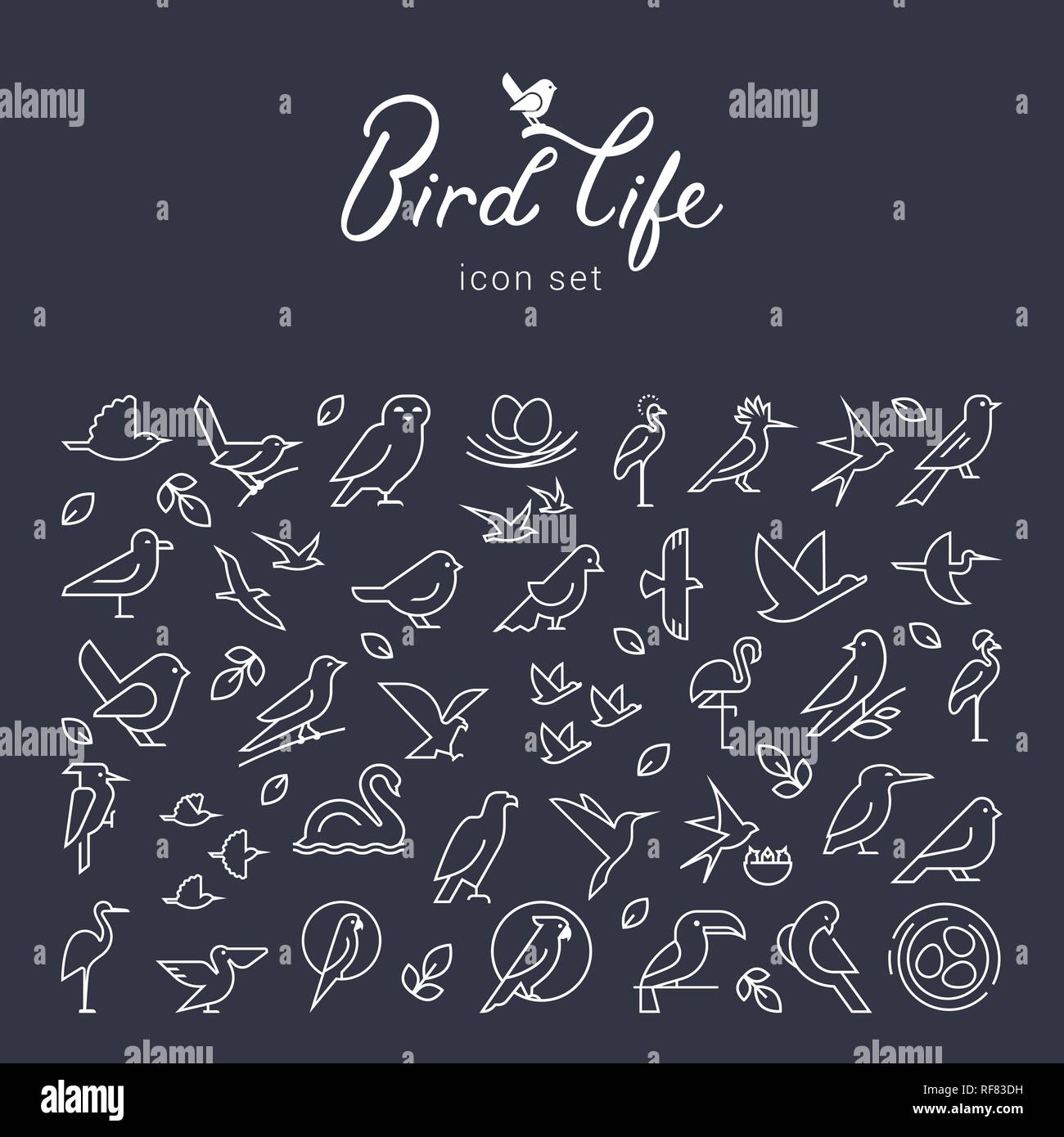 Beautiful background with birds icons. Flat birds icon set. Thin line ...