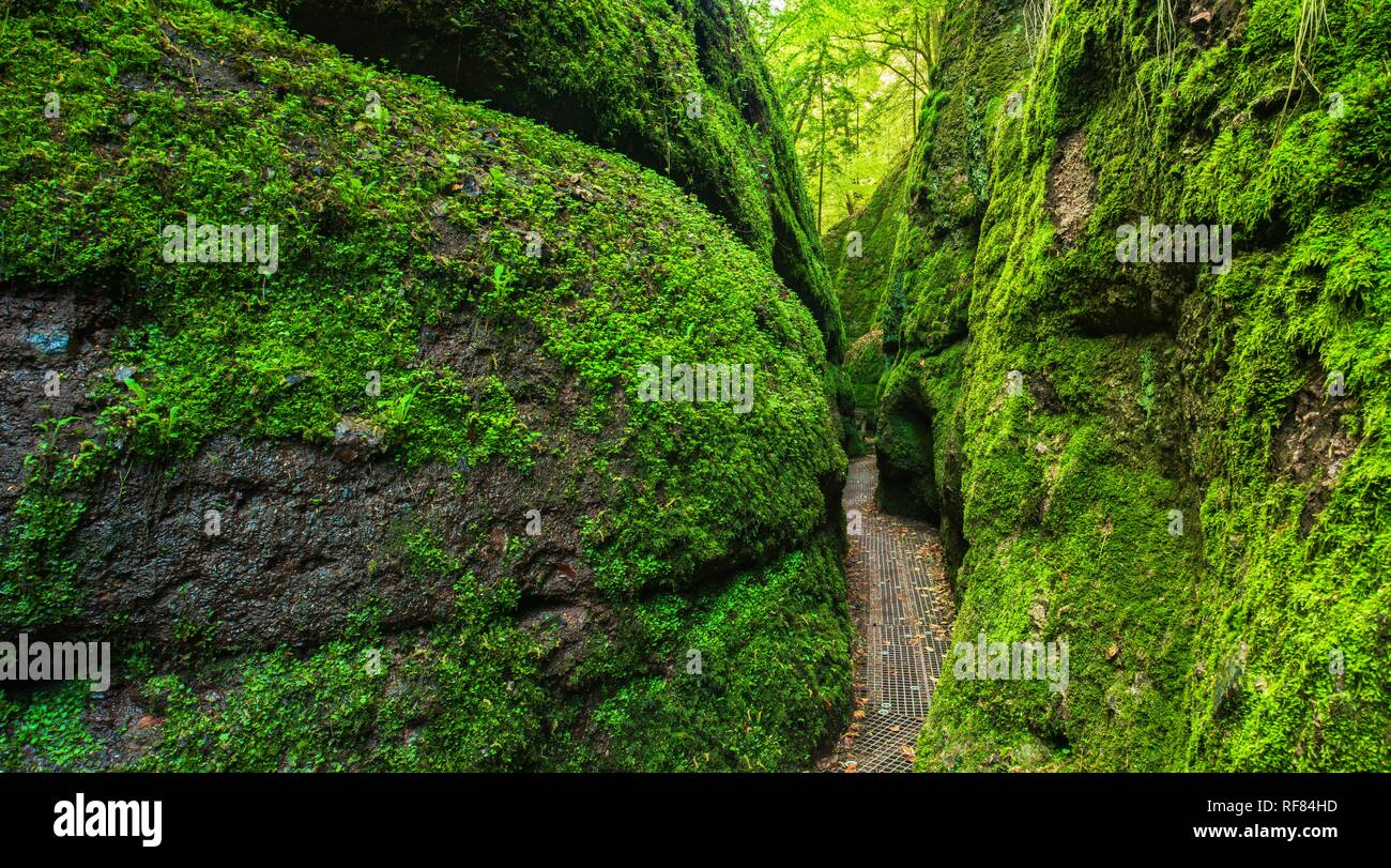 Dragon gorge hi-res stock photography and images - Alamy