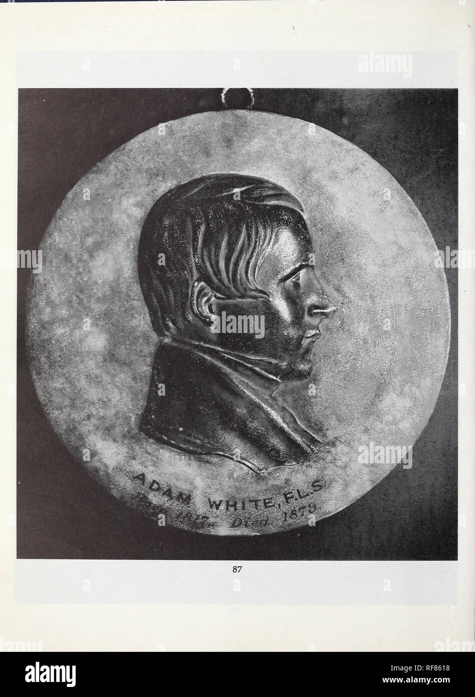 John thackray hi-res stock photography and images - Alamy