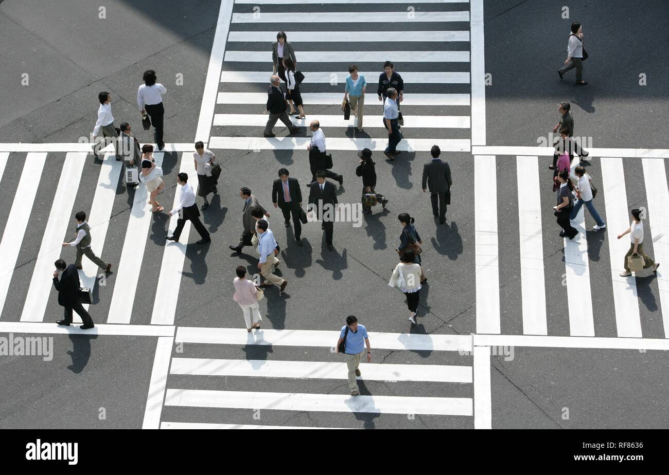 JPN, Japan, Tokyo: Big pedestrian crosswalk, Harumi Dori street and ...