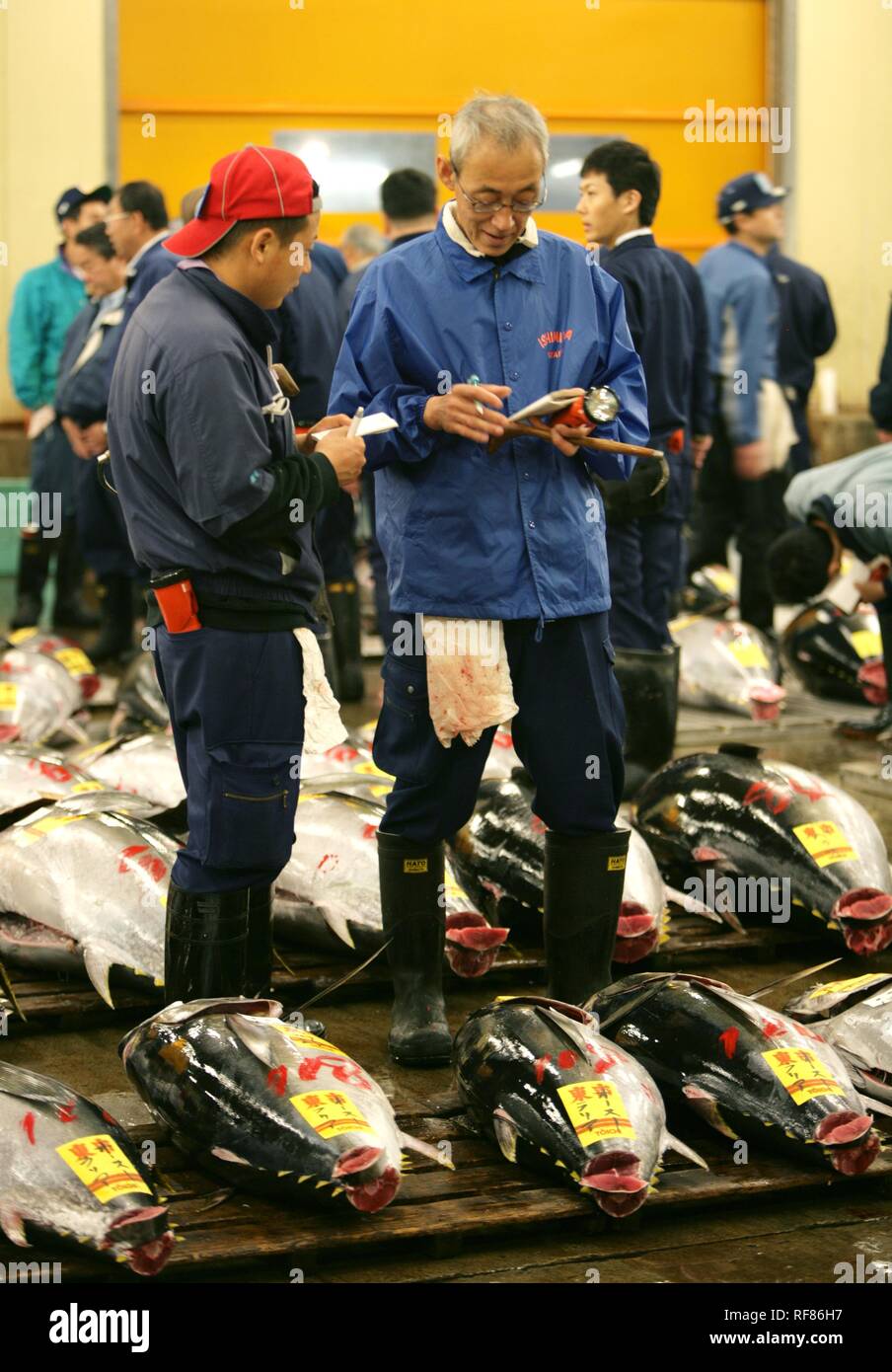 Frozen tuna fish, fish market, Tsukiji, Tokyo, Japan, Asia Stock Photo ...