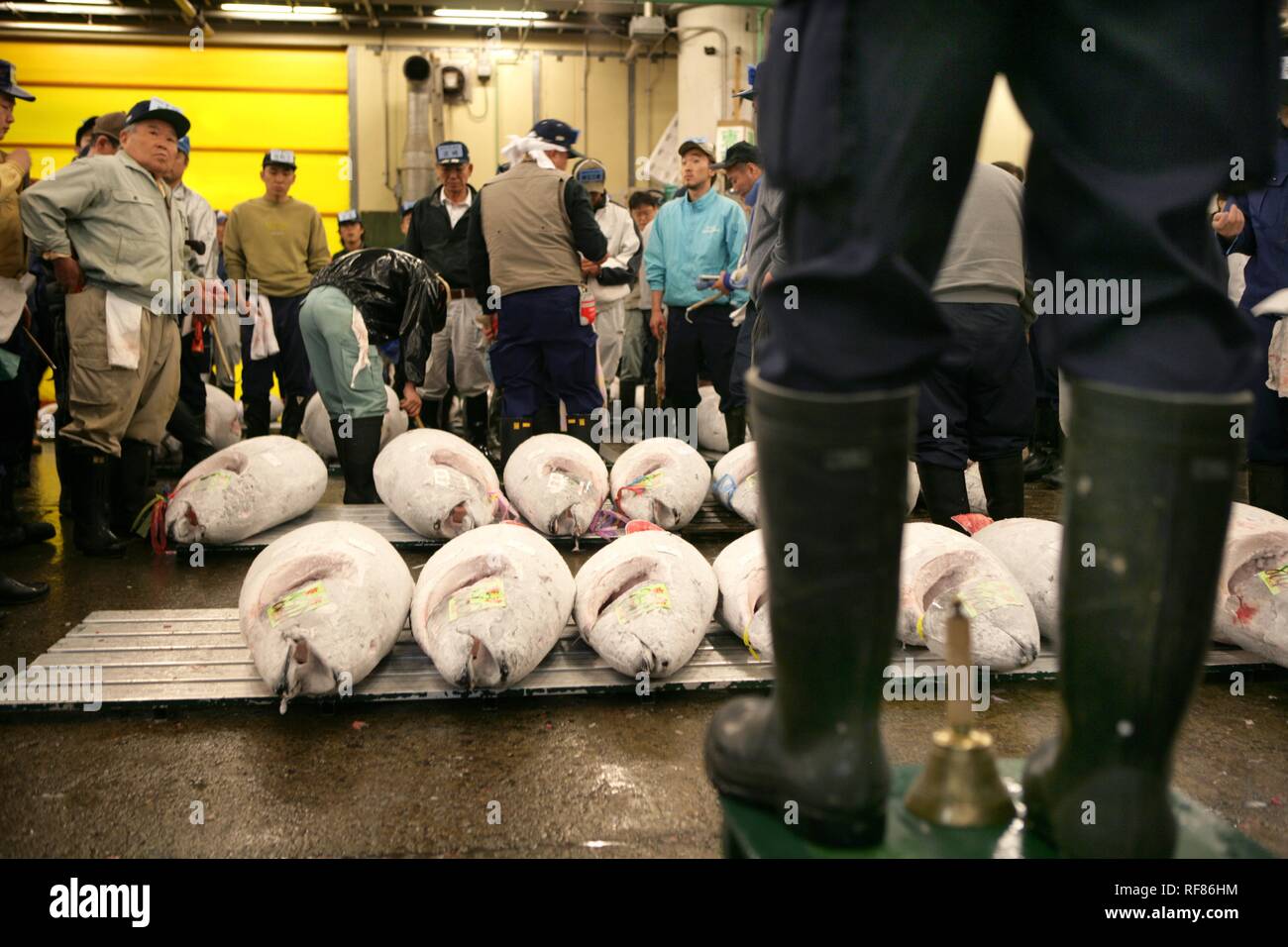 Auction, fish market, Tsukiji, Tokyo, Japan, Asia Stock Photo - Alamy