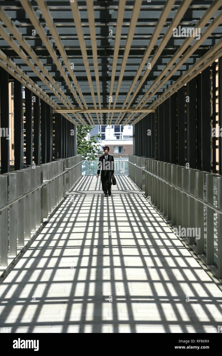 Tokyo Midtown Complex with the Tokyo Midtown Tower by the architects ...