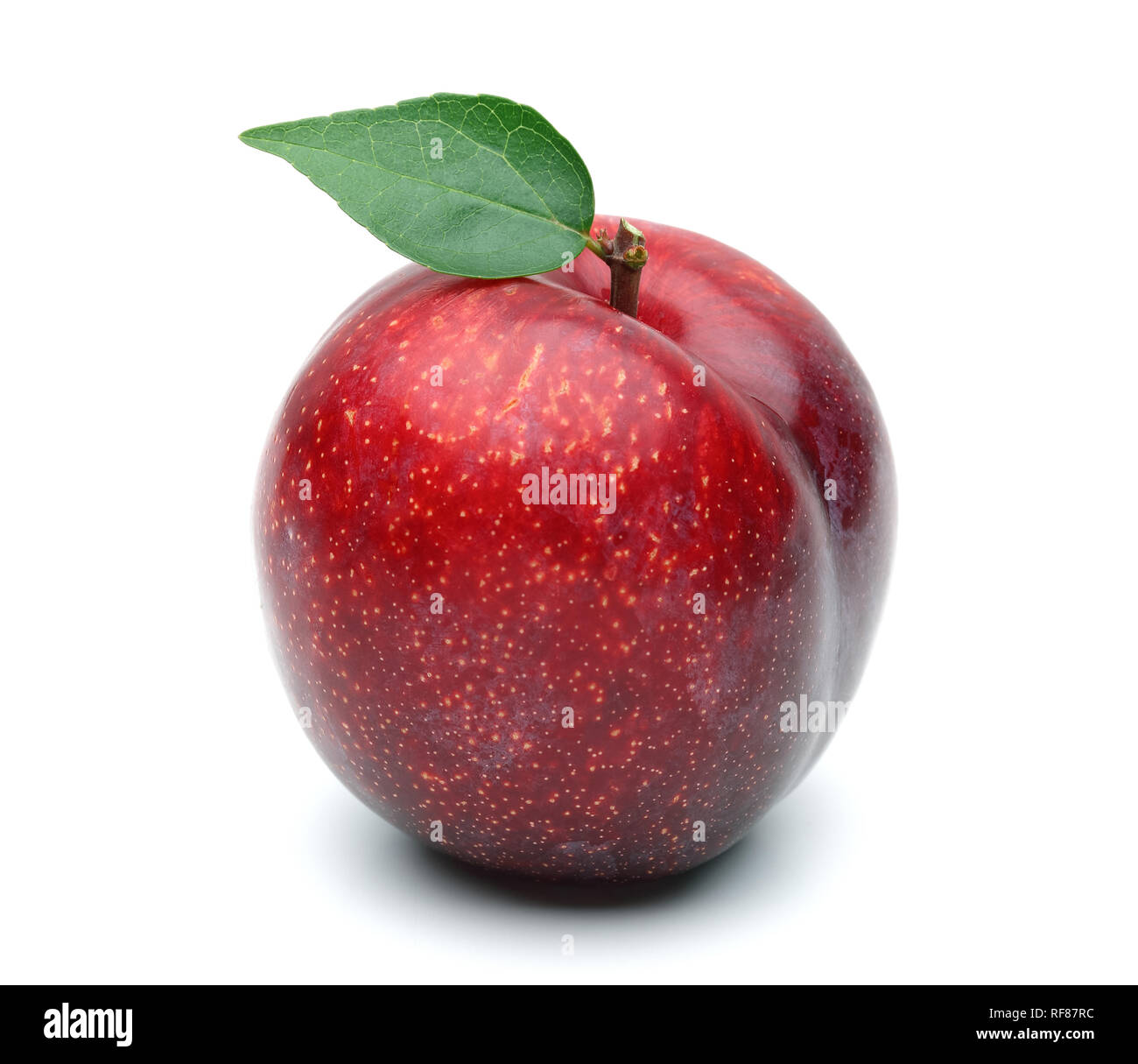 Plum Seed Cut Out Stock Images & Pictures - Alamy