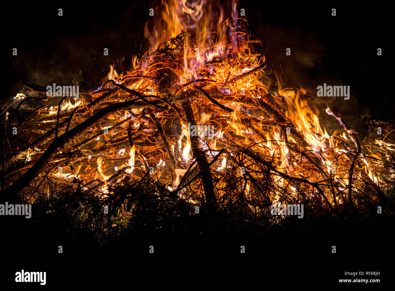 Outdoor bonfire. Camping in the nature outdoors in the woods and having ...