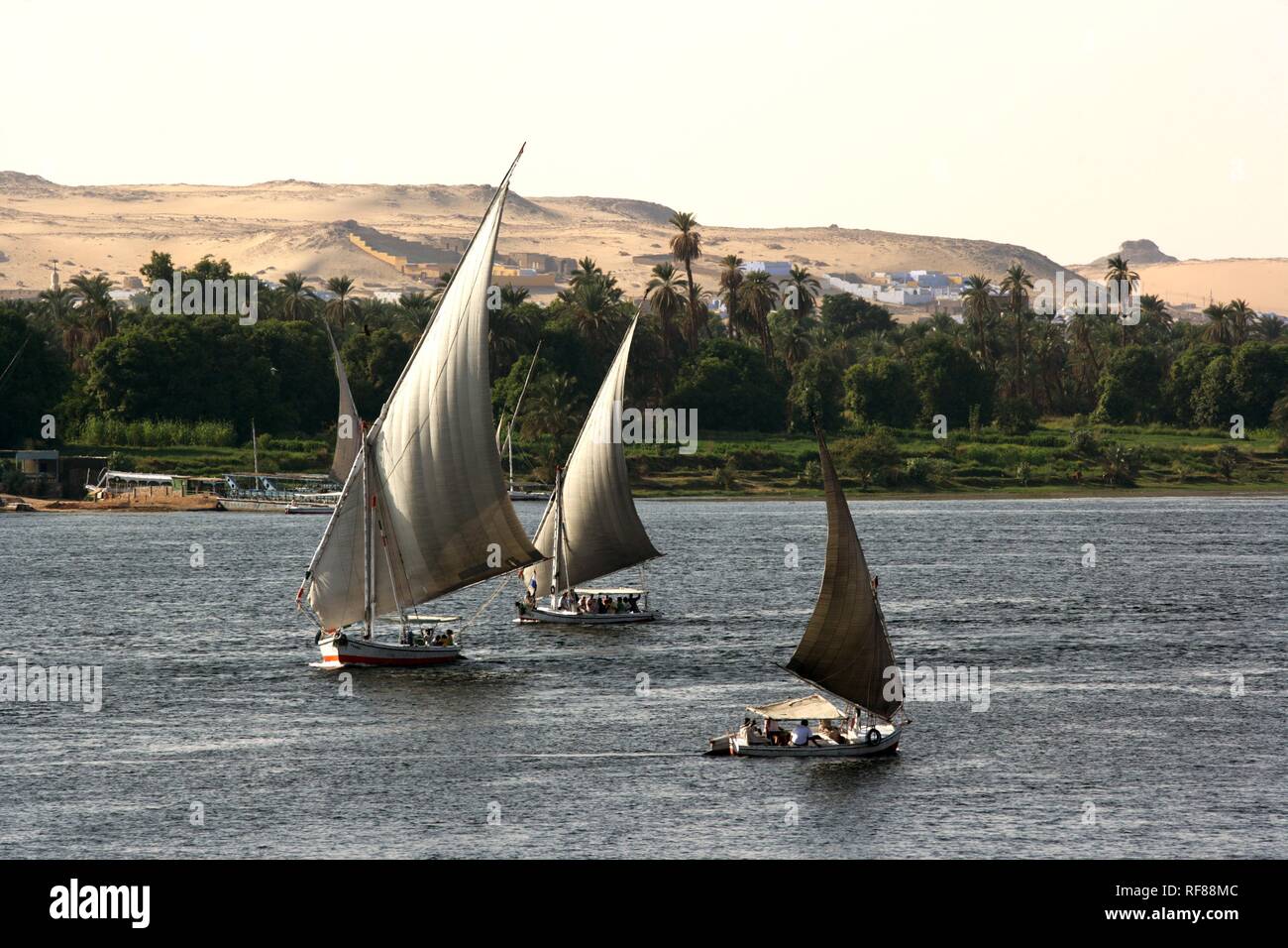 Feluccas traditional sailing boats hi-res stock photography and images ...