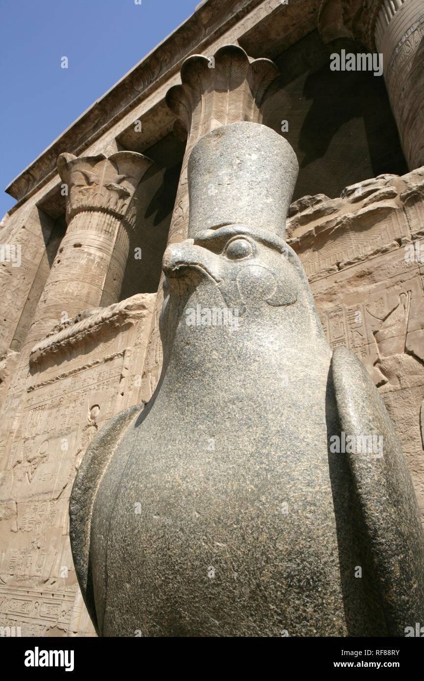 Horus (falcon god) statue at the Temple of Edfu, Edfu, Egypt, Africa ...