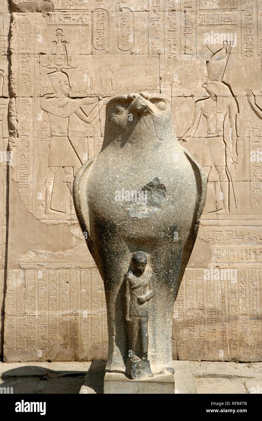 Statue of the falcon god Horus at the Temple of Edfu, Edfu, Egypt ...