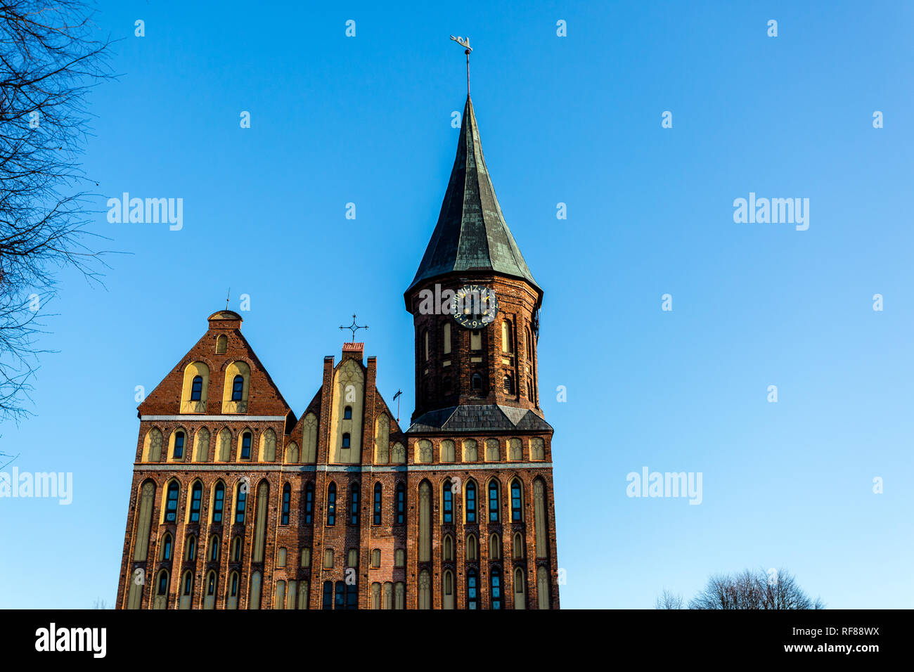 Cathedral of Immanuel Kant. Old Koenigsberg on the Kneiphof island ...