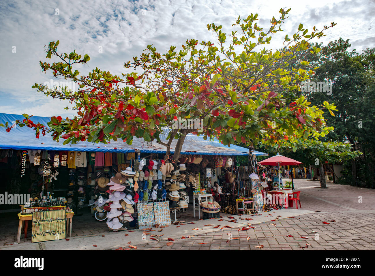 Tourist vendor and tree at Tulum, Mexico Stock Photo - Alamy