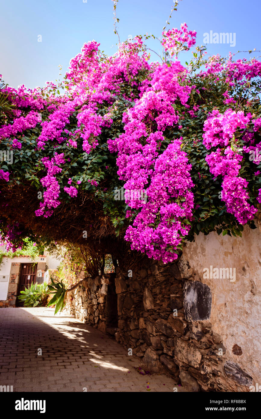 Fataga Maspalomas High Resolution Stock Photography and Images - Alamy