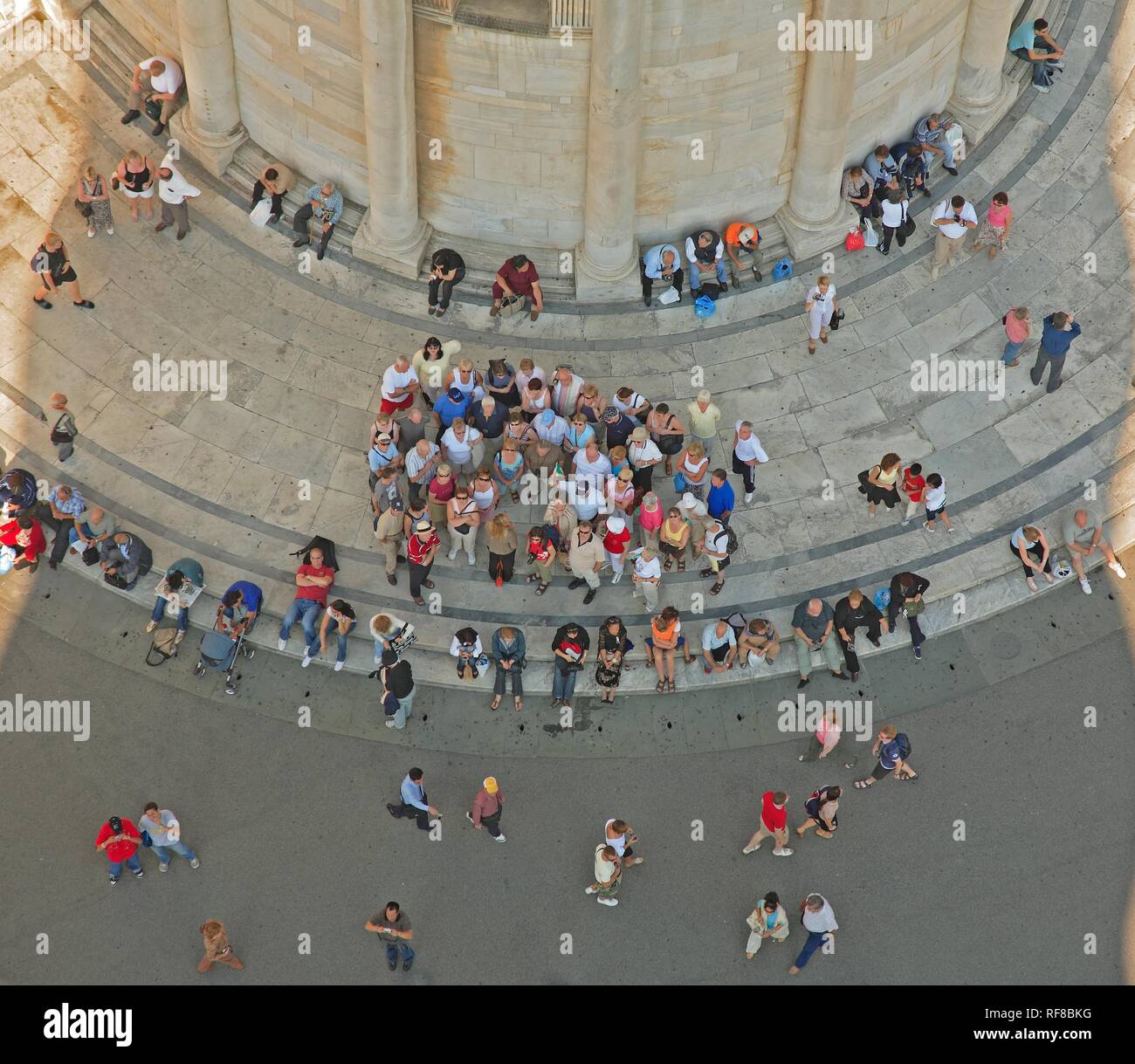 Birds casting shadow hi-res stock photography and images - Alamy
