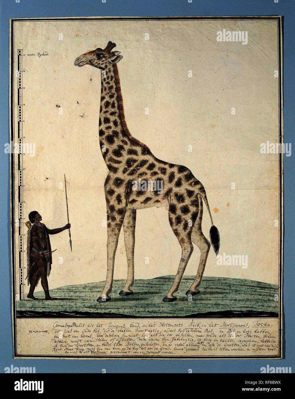 H 455 mm w 417 mm hi-res stock photography and images - Alamy