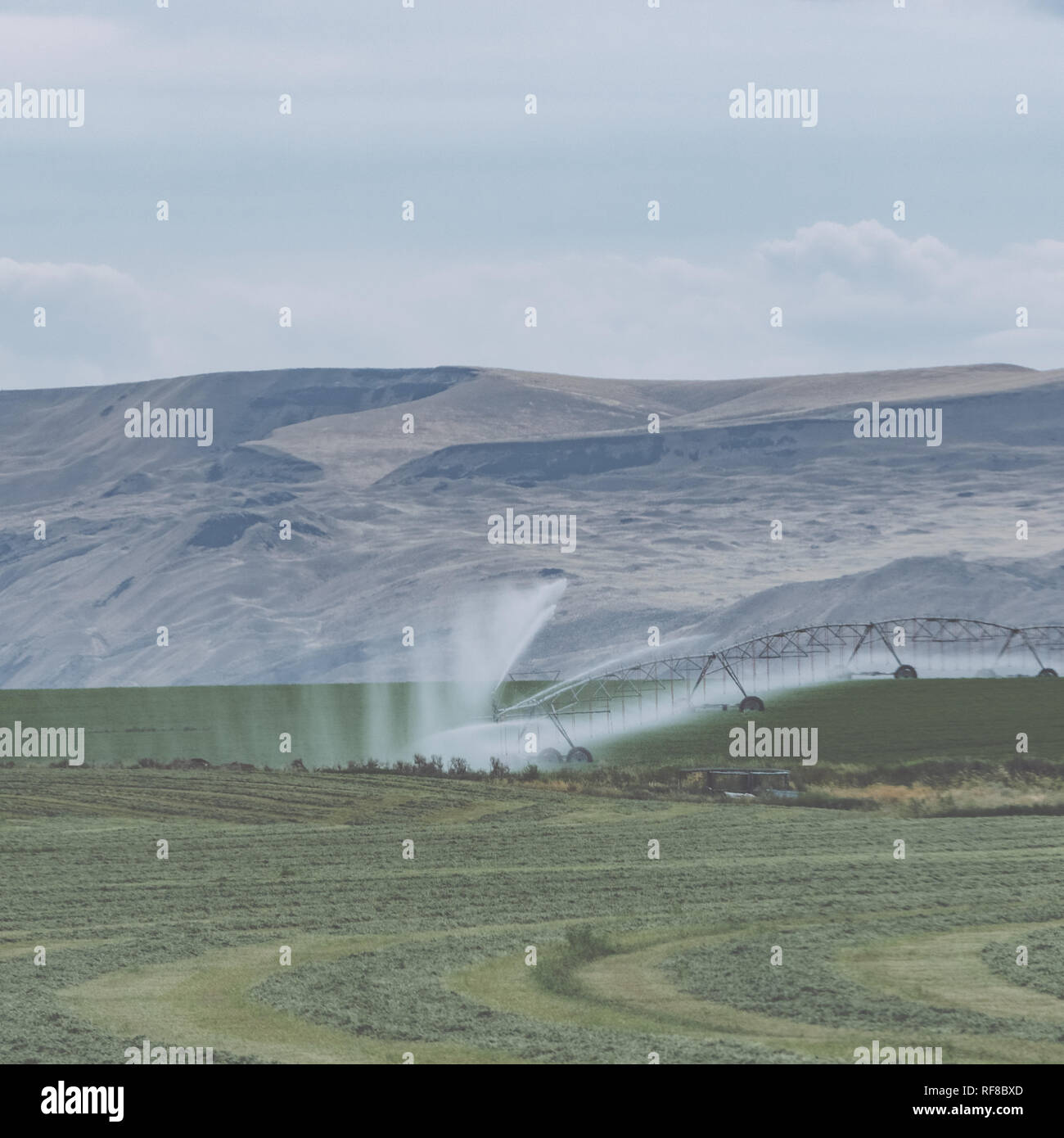 Irrigation system texas hi-res stock photography and images - Alamy