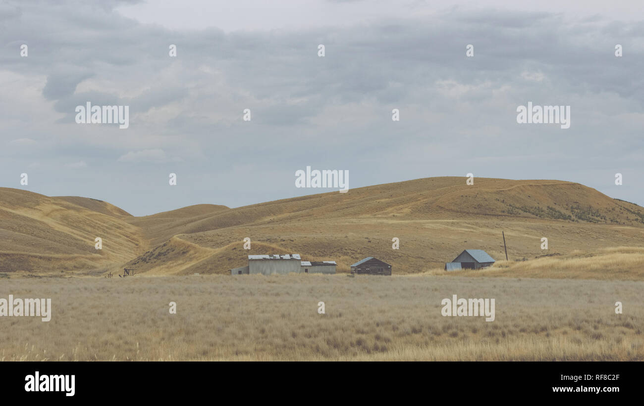 View over wheat fields from Steptoe Butte, Palouse Valley, eastern ...