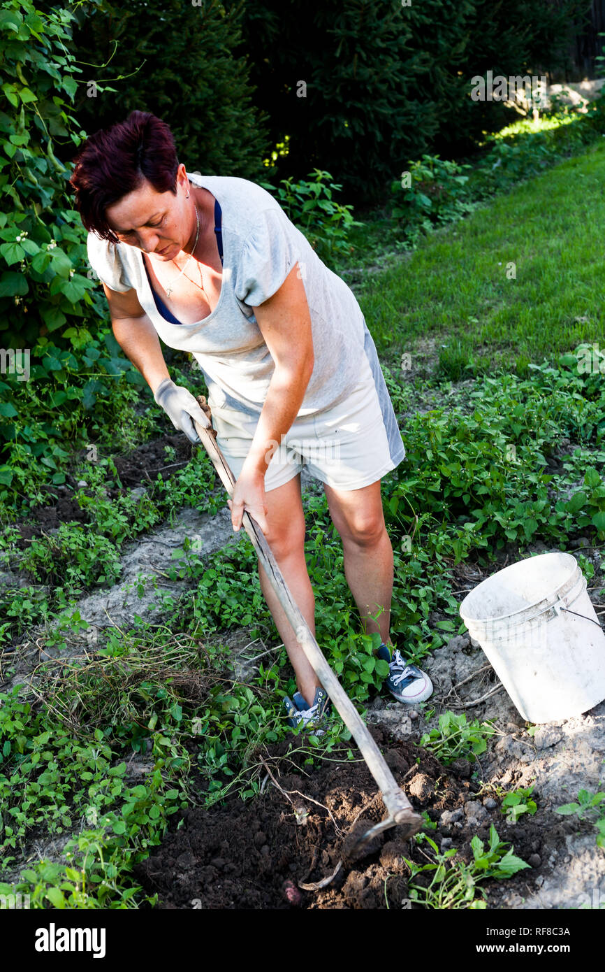 Peasant farmer digging hi-res stock photography and images - Alamy