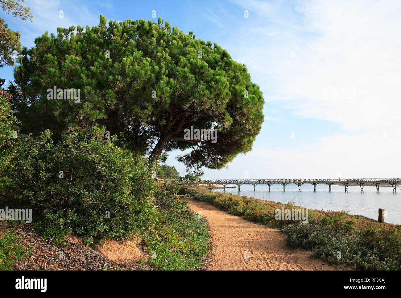 Praia do faro boardwalk hi-res stock photography and images - Alamy