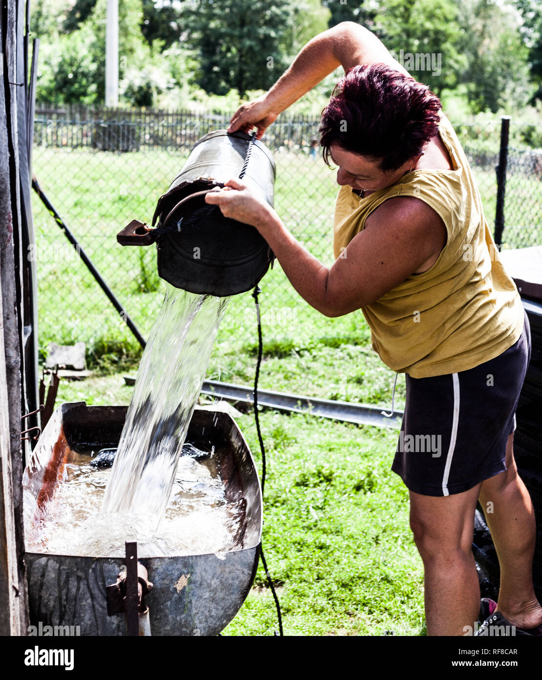 A hardworking mother filling up the shallow basin outside the barn. The ...