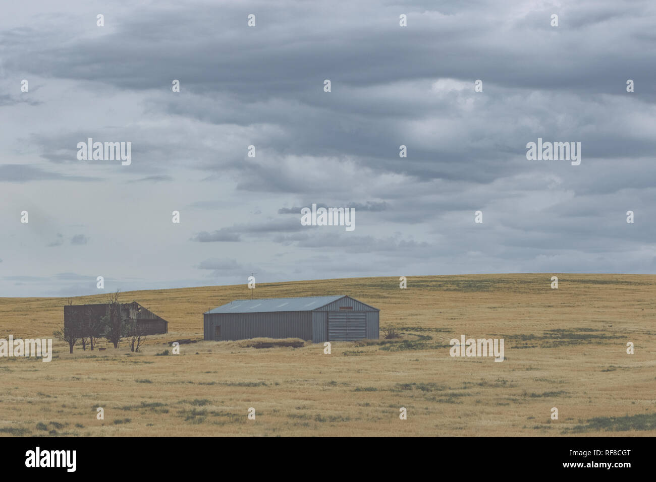 View over wheat fields from Steptoe Butte, Palouse Valley, eastern ...
