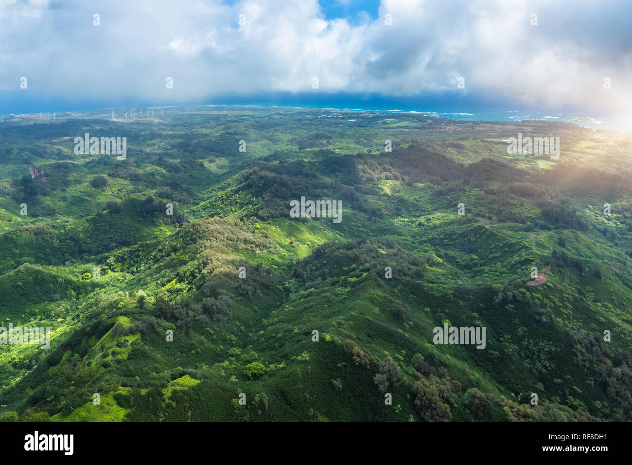 Hawaii forest from above hi-res stock photography and images - Alamy