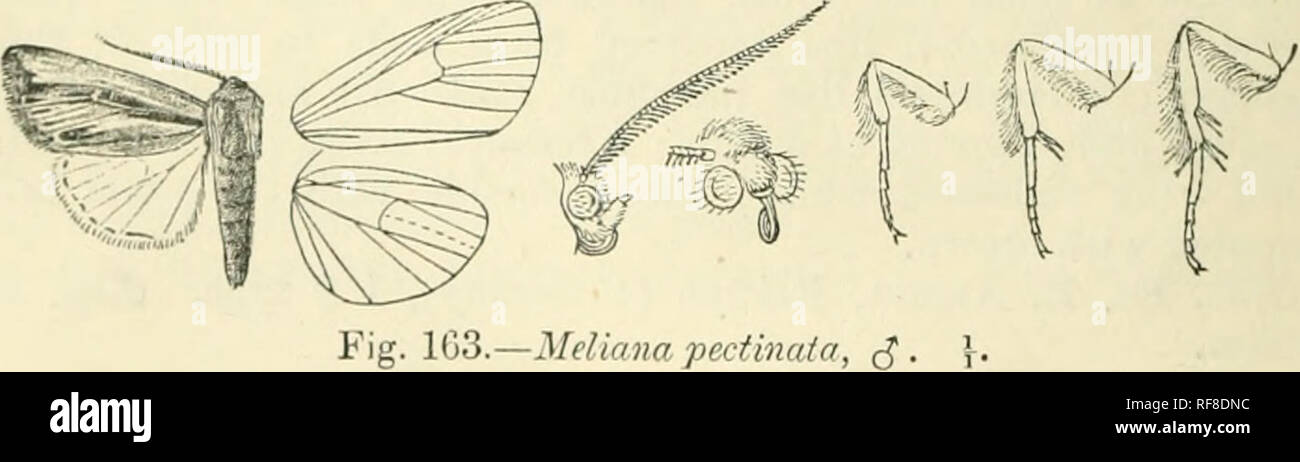 Salahin hi-res stock photography and images - Alamy