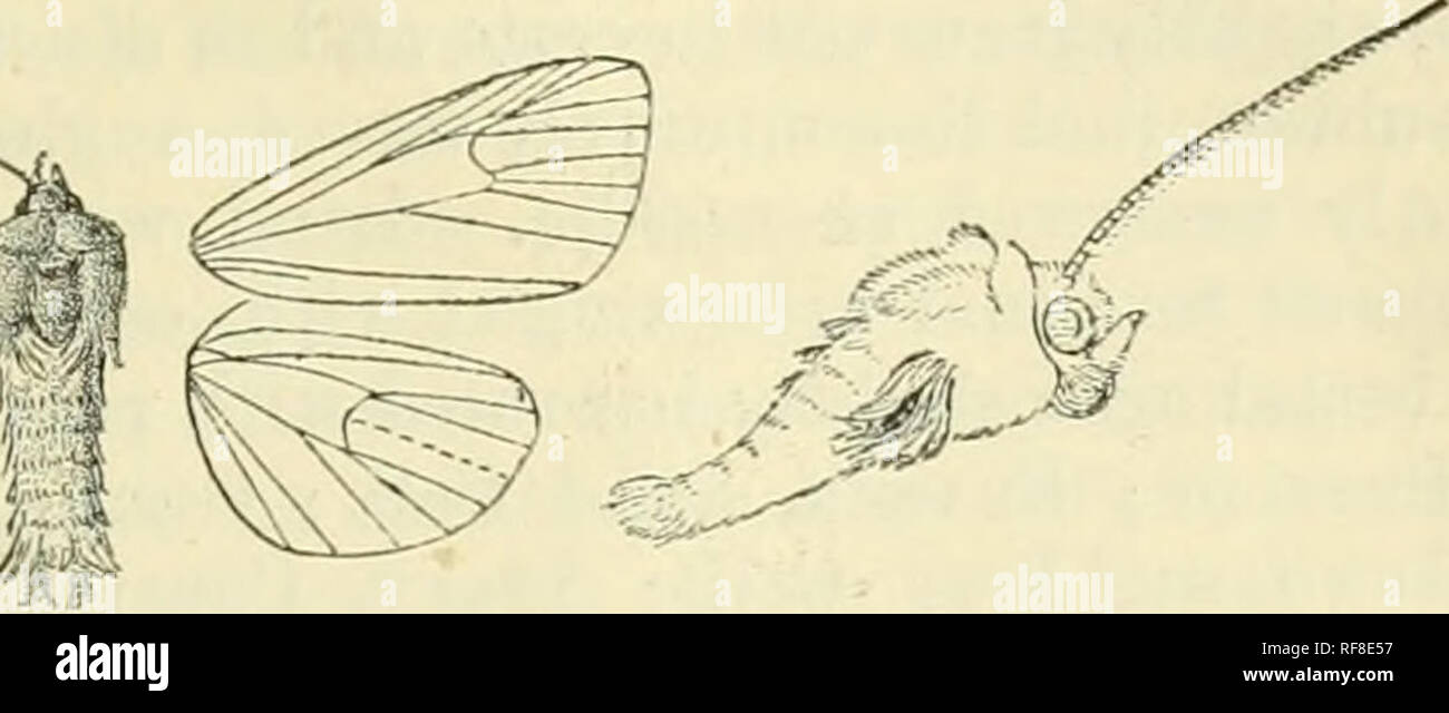 Black discal spot hi-res stock photography and images - Alamy