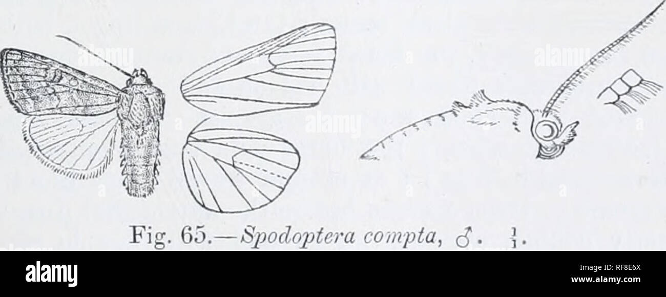 Crompton fold hi-res stock photography and images - Alamy