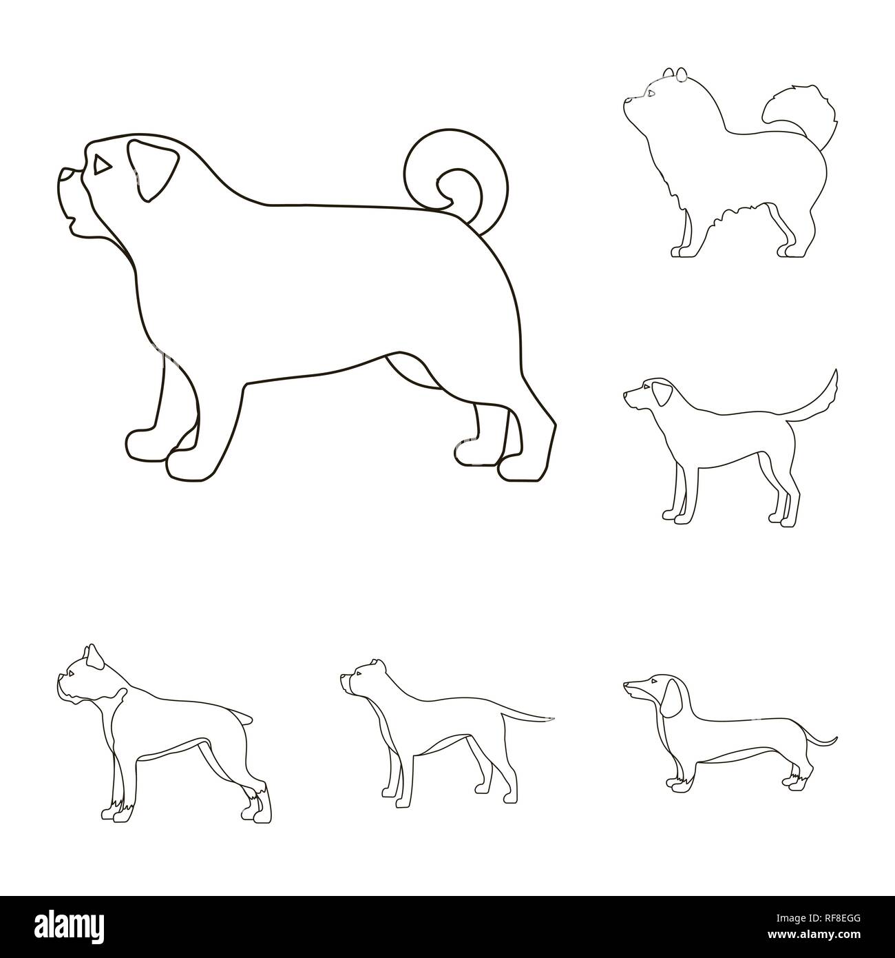 Vector design of cute and puppy sign. Set of cute and animal stock ...