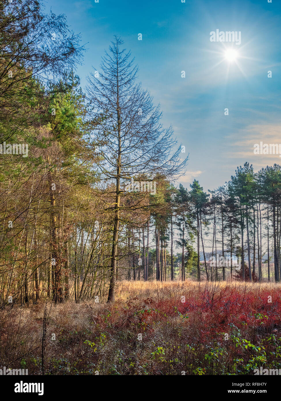 Nottinghamshire Countryside High Resolution Stock Photography and ...