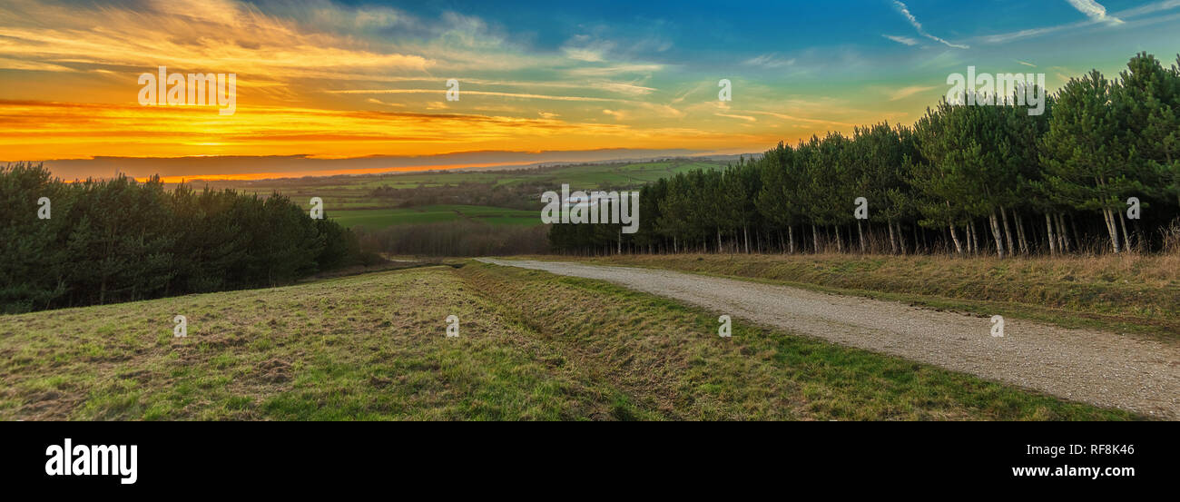 This is Silverhill woods near Teversal in Nottinghamshire. The former ...