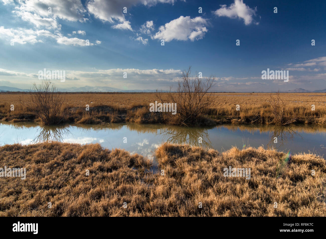 Wetlands around Lake Urmia, West Azerbaijan province, Urmia, Iran Stock ...