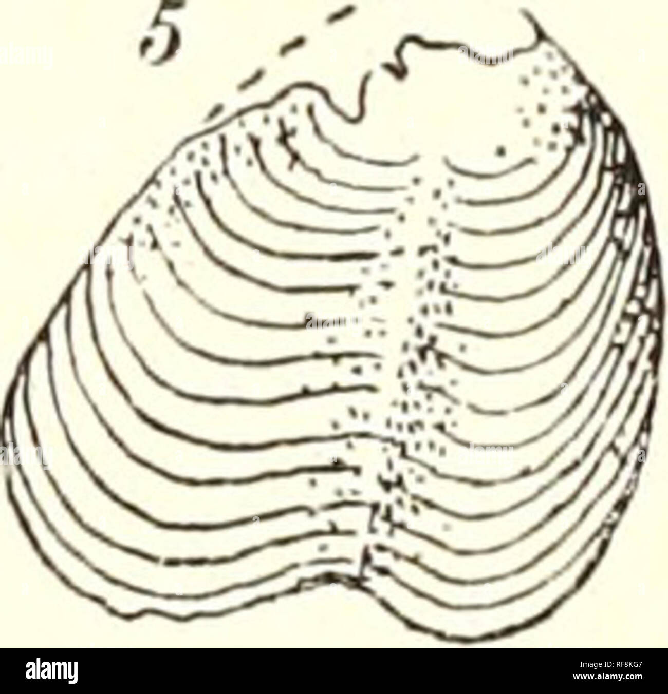 Henry withers hi-res stock photography and images - Alamy