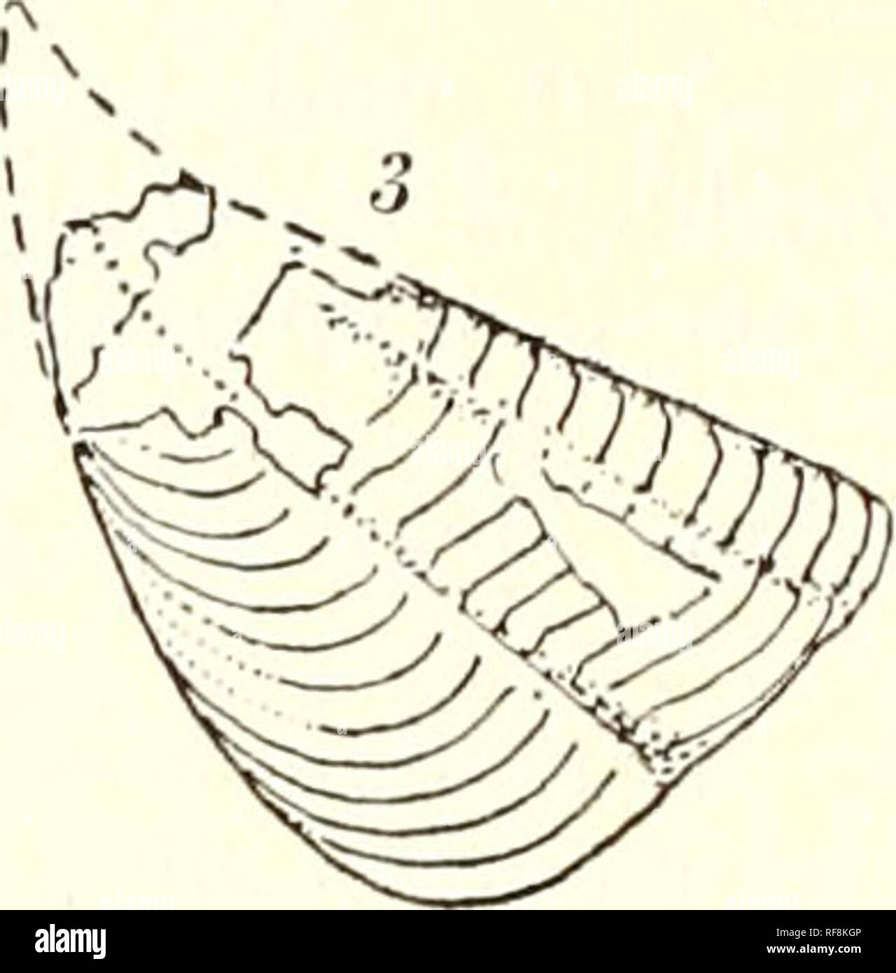 Sigmoid curve hi-res stock photography and images - Alamy
