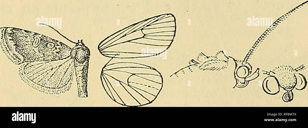 Kutch museum hi-res stock photography and images - Alamy