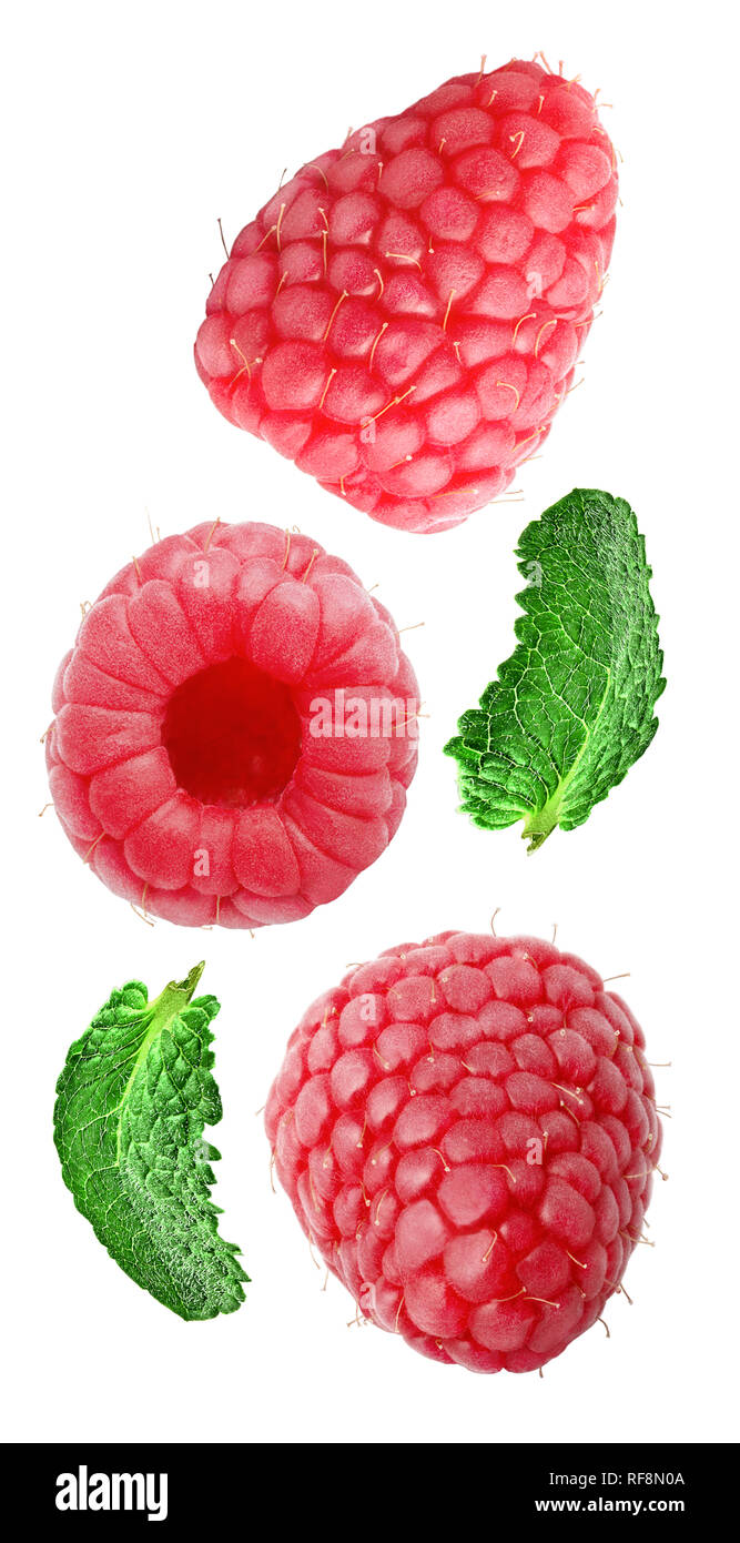 Flying fresh raspberry and mint leaves isolated on white background ...