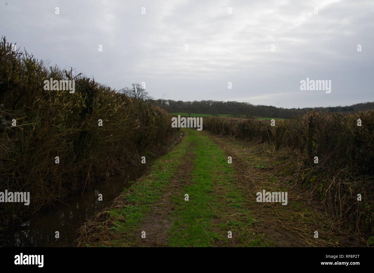 The Macmillan Way. Long-distance trail. Somerset. England. UK Stock ...
