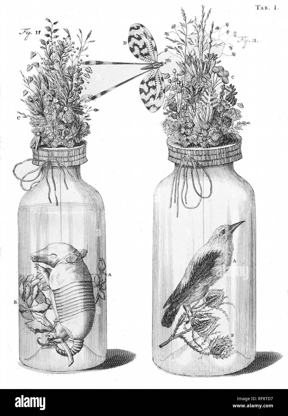 Set sea animals in Black and White Stock Photos & Images - Alamy