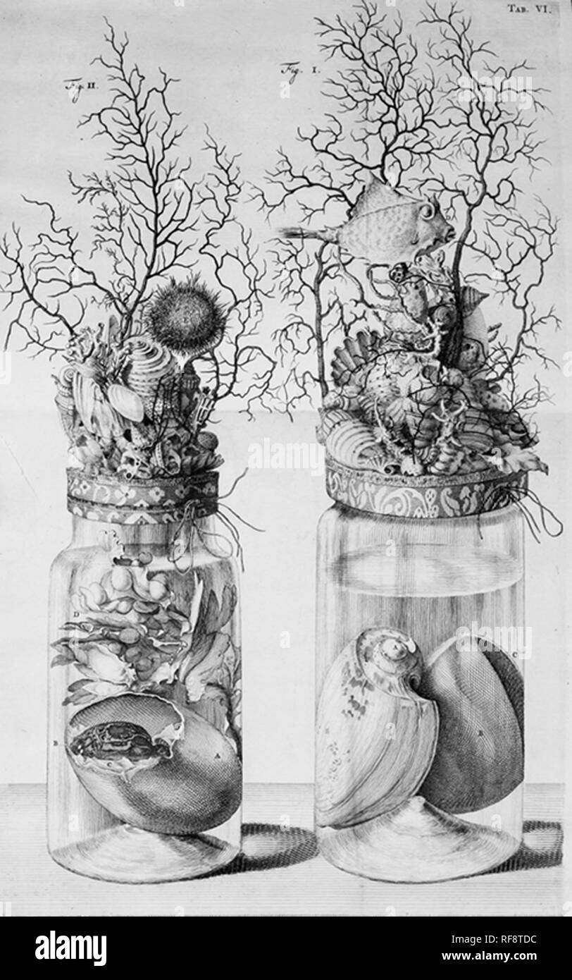 Set sea animals in Black and White Stock Photos & Images - Alamy