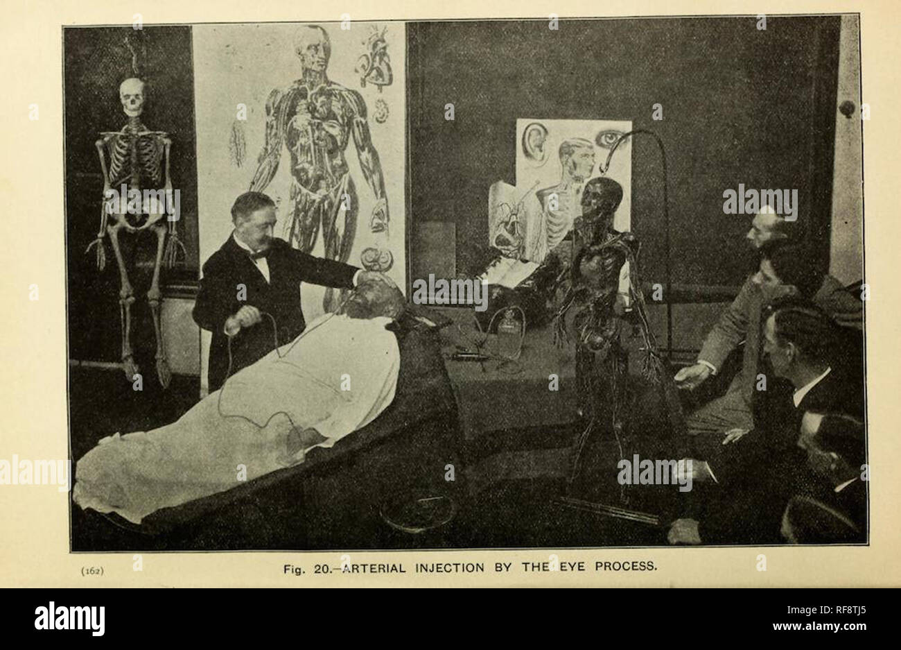 Autopsy Examination High Resolution Stock Photography and Images - Alamy